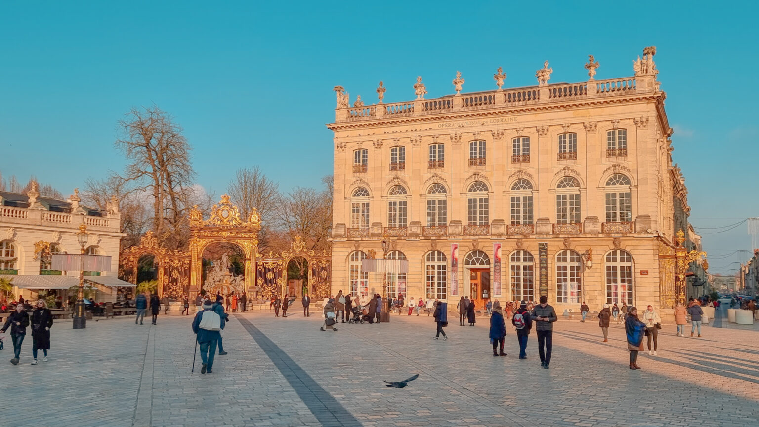 Nancy Ratgeber: Der perfekte Guide für die Herzogstadt